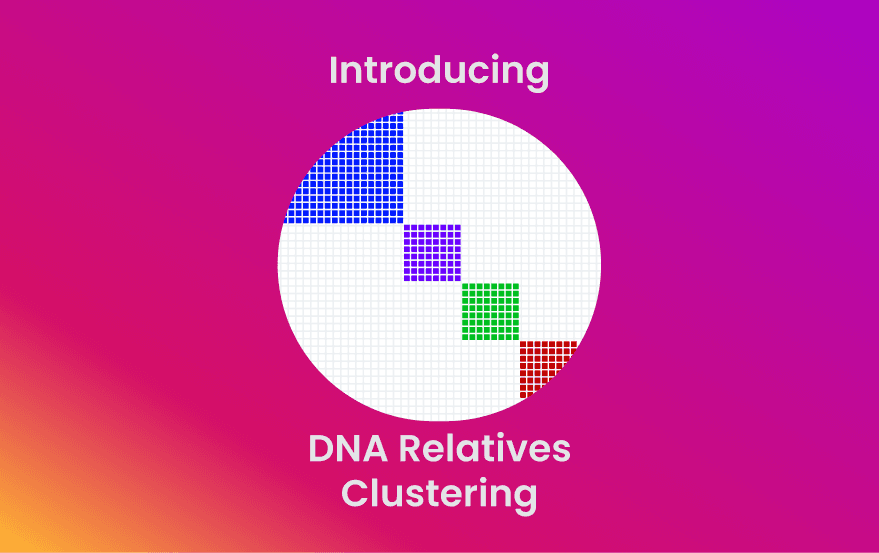 DNA Relatives Clustering: A New Way to Map Genetic Connections at 23andMe
