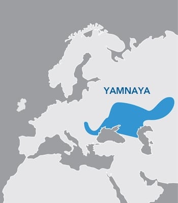 The Paternal-Line Story Written In Your DNA - 23andMe Blog